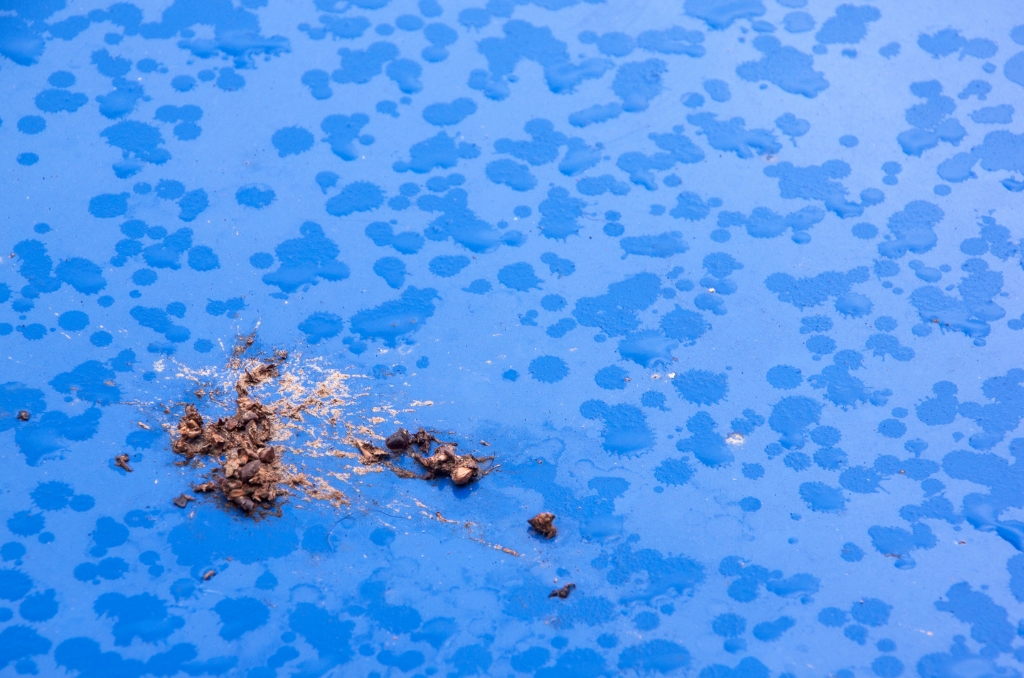 Luxury Car Maintenance: Avoiding Paint Damage in the Summer ...